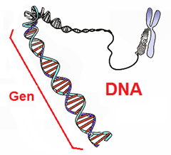 Mijmeringen: april 2011